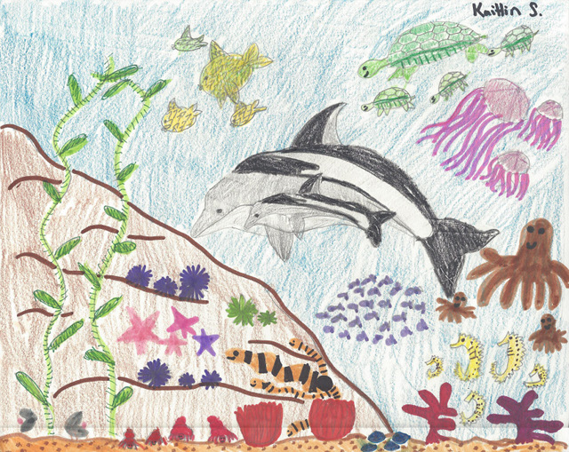 Ocean Steward Art Contest Winners | Santa Cruz