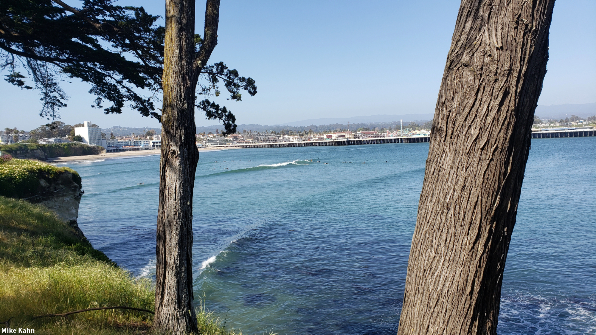 Is Cowell Beach the Best Beginner's Surf Break in the World? | Santa Cruz