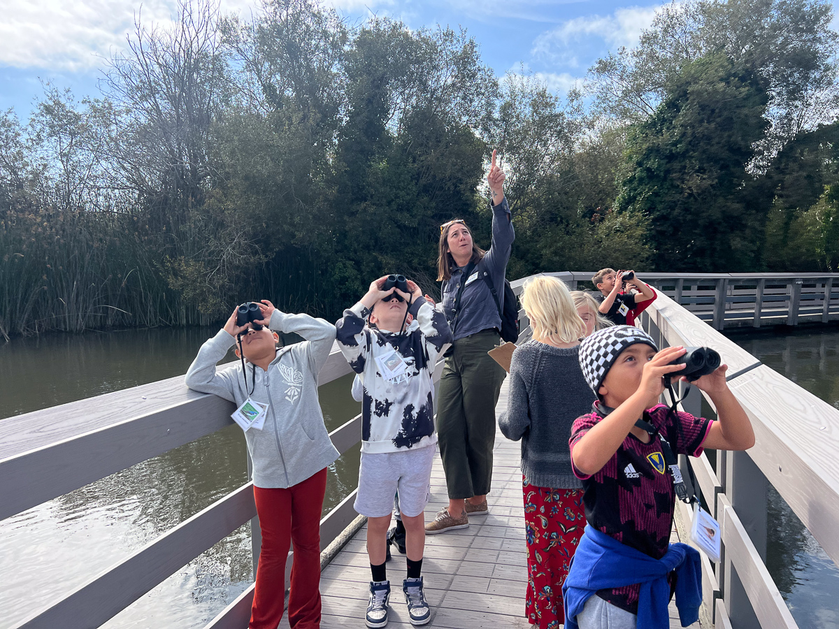 Exploring Neary Lagoon with the Santa Cruz Museum of Natural History ...