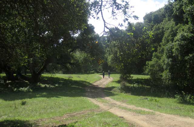 Star Creek Ranch Adventure | Santa Cruz