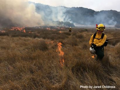Central Coast Good Fire Fair | Santa Cruz