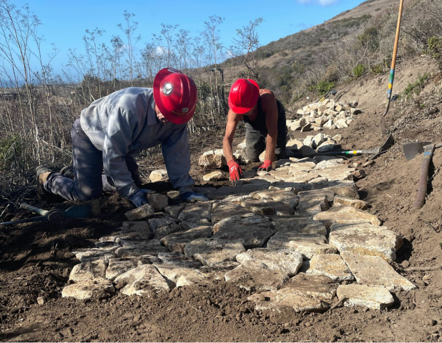 Tuesdays at Cotoni-Coast Dairies - New Trail Construction Project ...